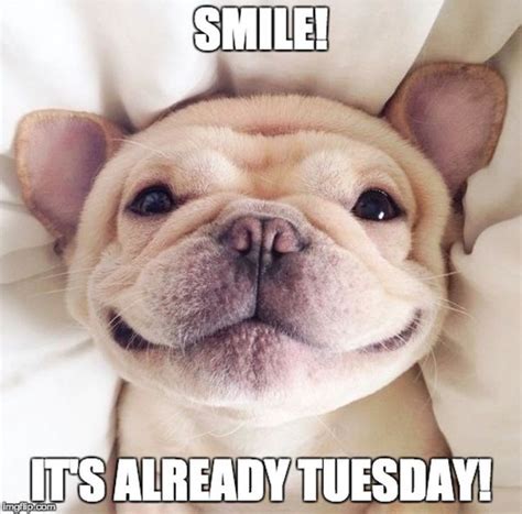 Funny Happy Tuesday At Work