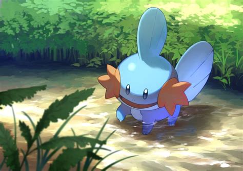 Ichihara Yuuto Mudkip Nintendo Pokemon Commentary Request Highres