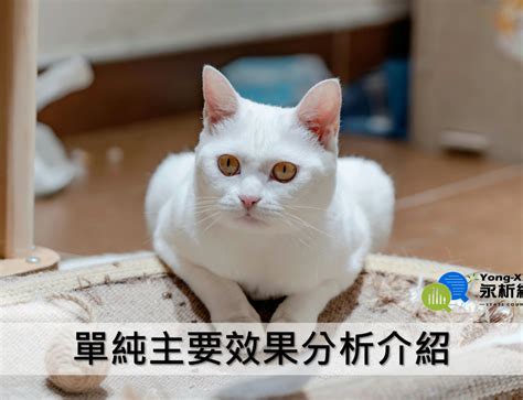 【集群分析cluster Analysis 統計說明與spss操作】 永析統計及論文諮詢顧問