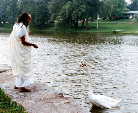 Baba Hari Dass Mount Madonna