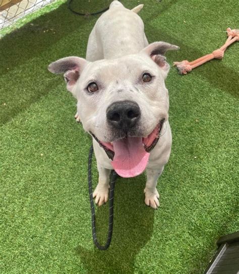 Patrick Steiner Posted On Linkedin