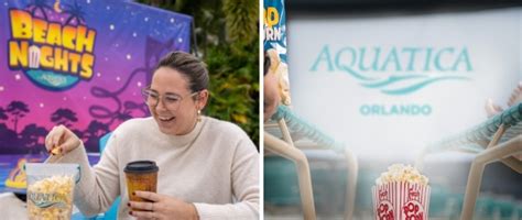 November 2024 On International Drive Orlando Attractions