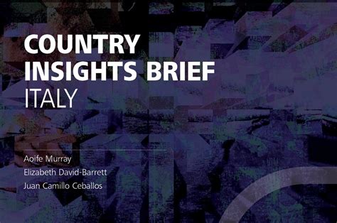 Insights Briefs Page 2 Global Programme On Measuring Corruption