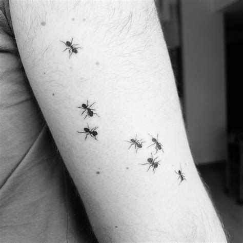 Ant Tattoo Designs Design Talk