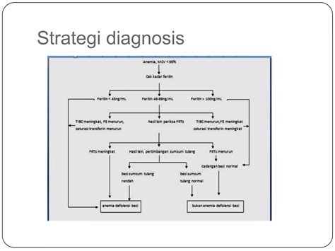Patofisiologi Anemia Defisiensi Besi Pptx