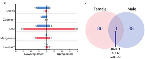 Prenatal Metal Exposure Alters The Placental Proteome In A Sex Dependent Manner In Extremely Low