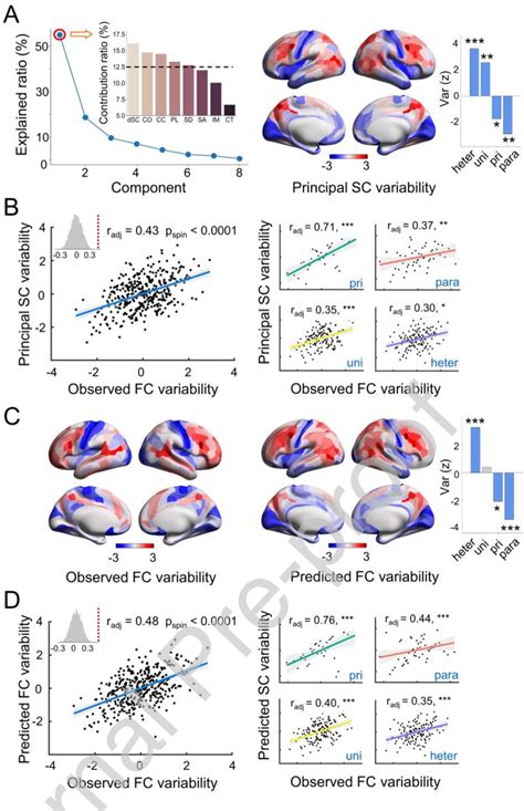 Figure 3 From Structural Insight Into The Individual Variability
