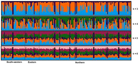 admixture bar plots representing the identity of individuals based on