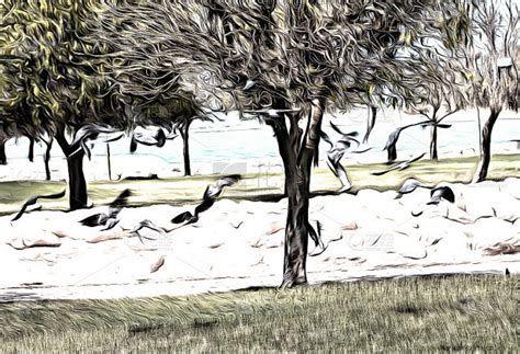 鸽子群在树下飞翔的插图。