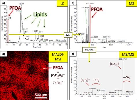 Pfoa Identification And Localization In The Pfoa Exposed Liver For One