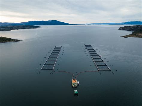 Ultra Premium Verlasso