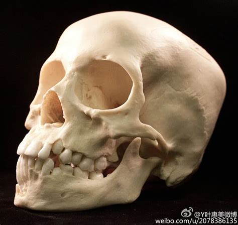 Y叶惠美微博的照片 微相册 花瓣网