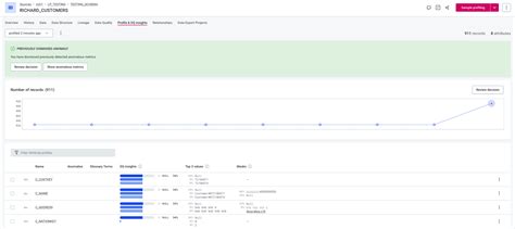 Anomaly Detection In Catalog Items Ataccama One