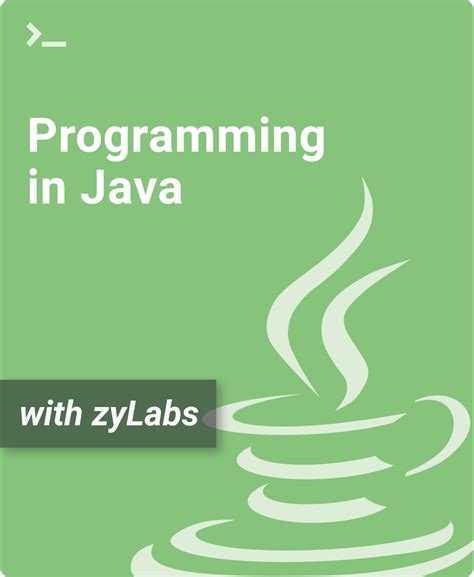 Fundamental Programming Concepts In Coral ZyBooks