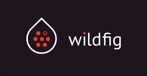 John B On Linkedin Home Page Wildfig Data