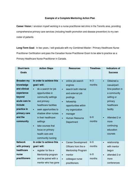 Example Complete Mentoring Action Plan Nurse Practitioner Nursing