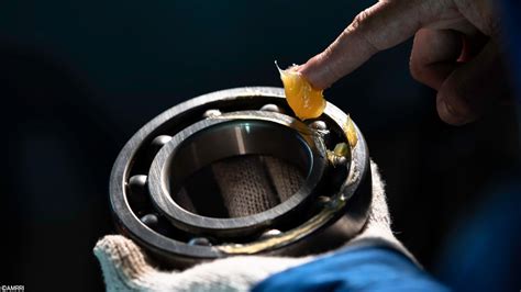 Ball Bearing Lubricant At April Langdon Blog