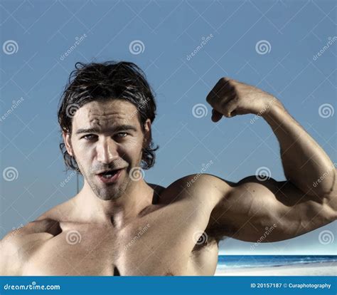 Sexy Bicepkerel Stock Afbeelding Image Of Lichaam Buig 20157187