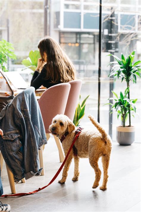 A Day With Life Beth Wilkinson Founder Of Lindsay Magazine Artofit