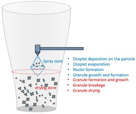 Fluidized Bed Granulation At Garry Beckwith Blog