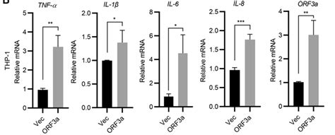 Product Focus — Polybrene Transfection Enhancer Antbio