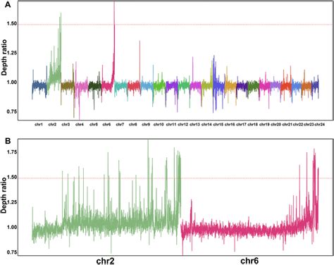 Average Resequencing Depth Ratio Between Females And Males