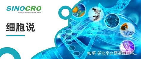 以患者为中心，细胞治疗产品临床试验如何做？ 知乎