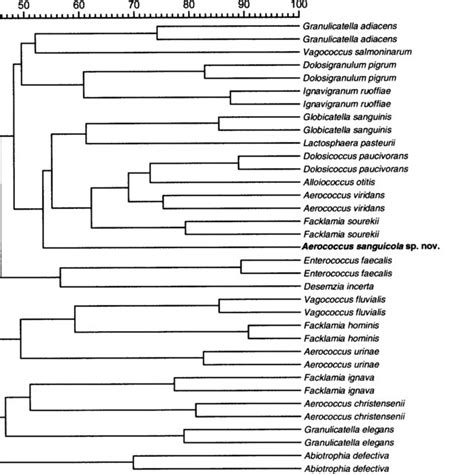 Pdf Aerococcus Sanguicola Sp Nov Isolated From A Human Clinical Source