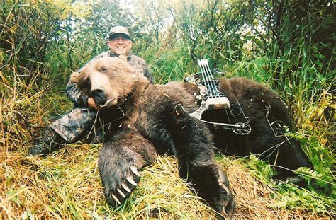 Southwest Alaskan Brown Bear