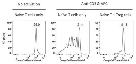Celltrace Violet Cell Proliferation Kit Kitreagent Review