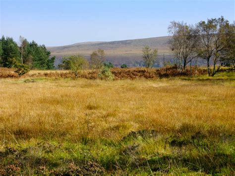 Healey Nab On The Top