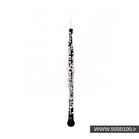 ابوا فروشگاه شهر موسیقی