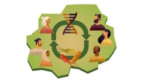 Understanding 10000 Years Of Immune System Evolution Through