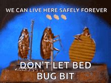 Bed Bugs S Tenor