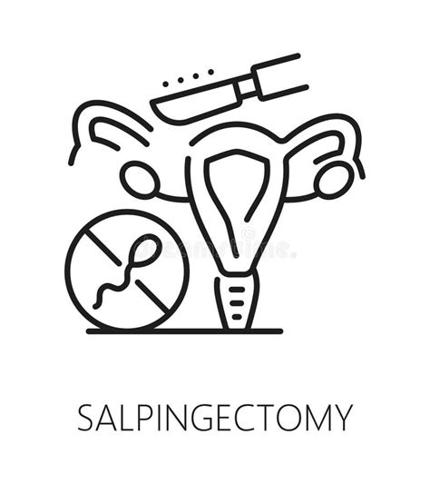 Method Procedure Stock Illustrations 5951 Method Procedure Stock