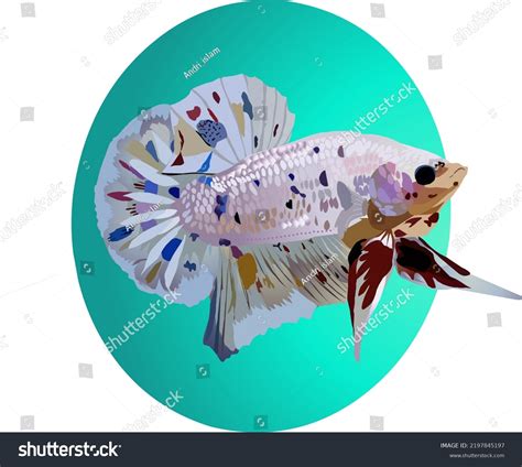 Vector Logo Fish Placard Betafish Candy Stock Vector Royalty Free