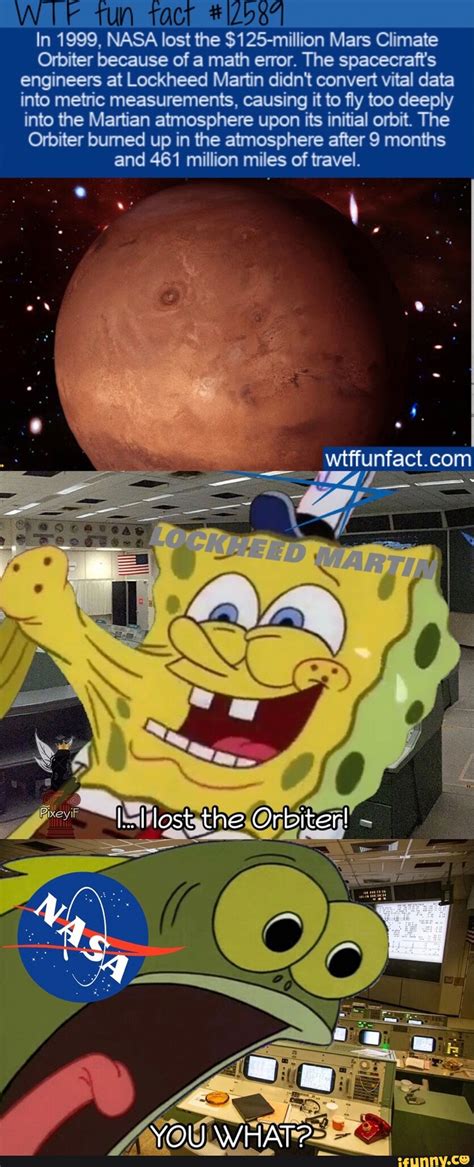 Wtf Fun Facts Spongebob