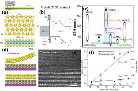 Metal 2d Semiconductor Contact Interface Au Mos2 A Schematic B Download Scientific