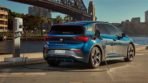 קופרה Born בישראל שטח