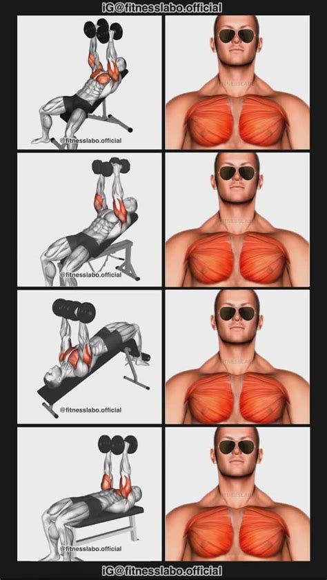 Chest Workout Using Dumbbell ① Incline Dumbbell Press ② Dumbbell Press