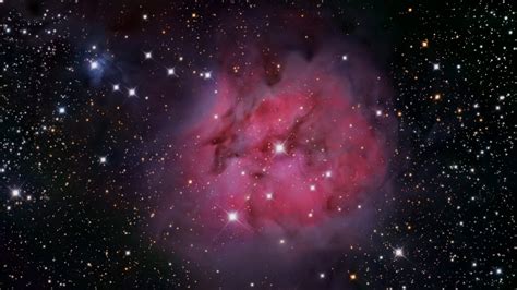 Caldwell 19 Ngc 5146 Cocoon Nebula Cygnus Constellation Go Astronomy