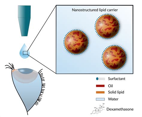 Design And Optimization Of Nanostructured Lipid Carrier Containing