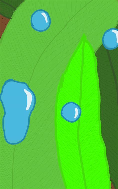 Rained Grass By Dreamer2sandy On Deviantart