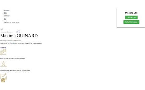 Disable Css Google Chrome