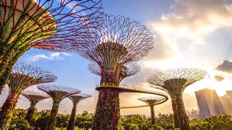 Best Gardens By The Bay Cruises Singapore 2026