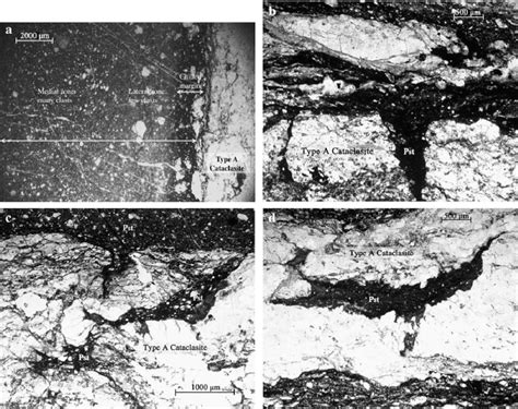 Tucker Hill Pseudotachylytes In Thin Section A Cross Section Through