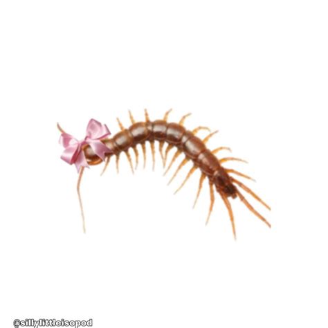 Totally Buggin Cool Bugs Beautiful Bugs Silly Photos