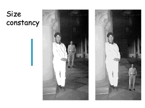 Period 4 Kirkpatrick Perceptual Constancies