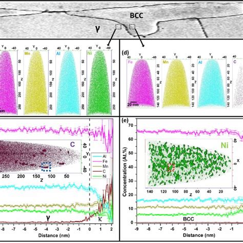 A Sem Image Showing Site Specific Cbcc Region Of Interest In Download Scientific Diagram