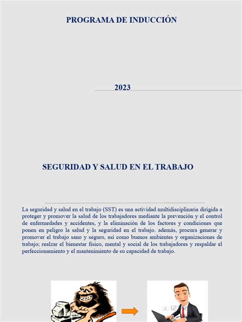 Presentacion Programa De Induccion Pdf Seguridad Y Salud